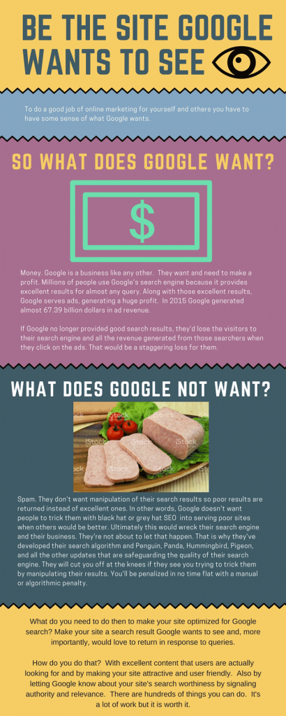 Infographic - What Google Wants - Ducktoes Computer Services